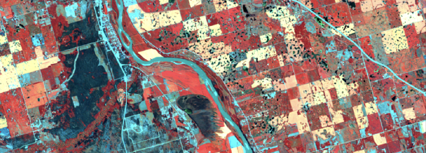 Measuring Ground-Level Carbon from Space - Metaspectral